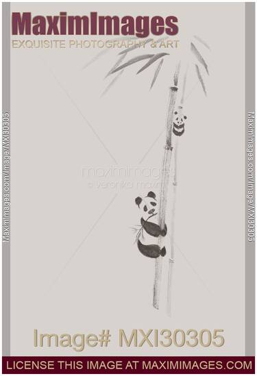 Image of Cute pandas climbing bamboo trees artistic illustration design ...