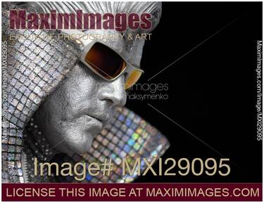 Photo of Silver Elvis | Stock Image MXI29095