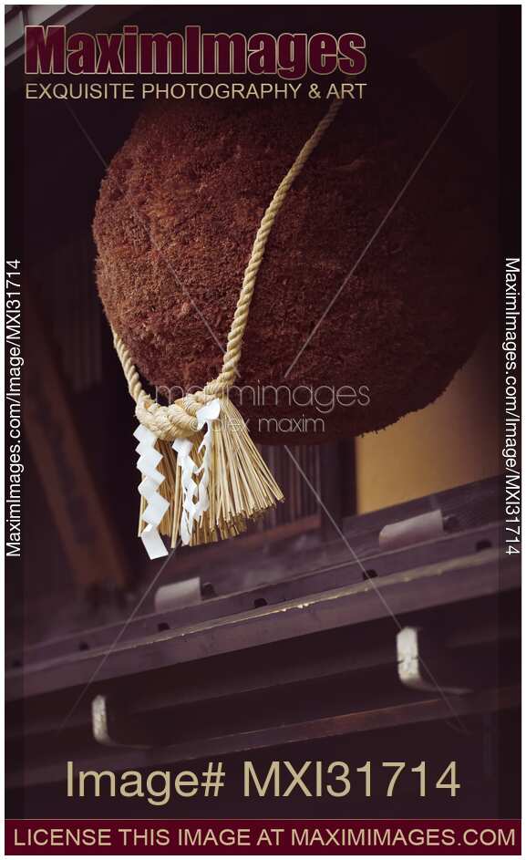 Photo of Sugidama cedar ball with Shimenawa rope Shinto symbol tied ...