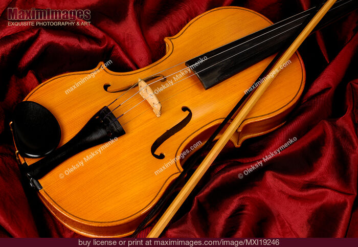Violin. Stock Photo MXI19246