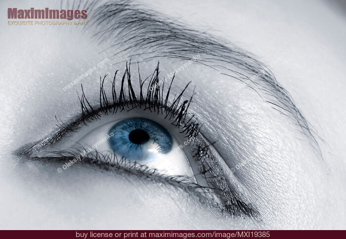 Woman blue eye closeup. Stock Photo MXI19385