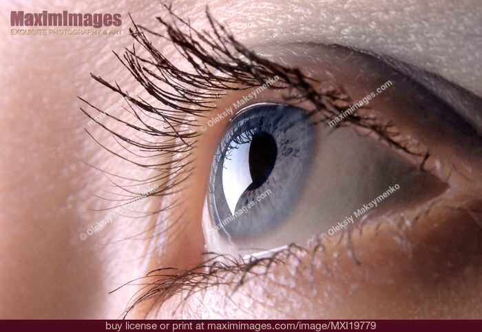 Blue Eye. Stock Photo MXI19779