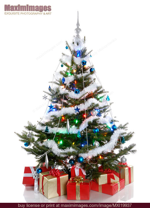 Christmas Tree. Stock Photo MXI19937