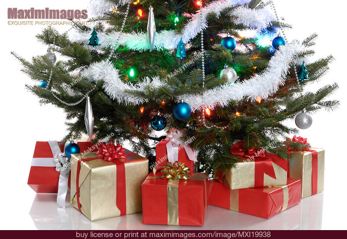 Christmas Tree. Stock Photo MXI19938