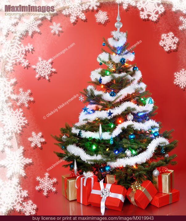 Christmas Tree. Stock Image MXI19943
