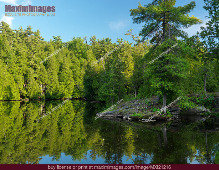 Ontario Nature Scenery. Stock Photo MXI21216