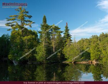 Ontario Nature Scenery. Stock Photo MXI21220