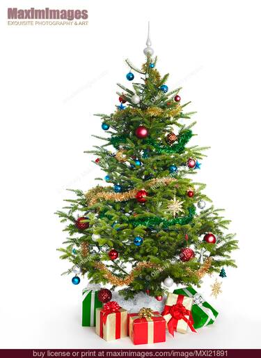 Decorated Christmas Tree. Stock Photo MXI21891