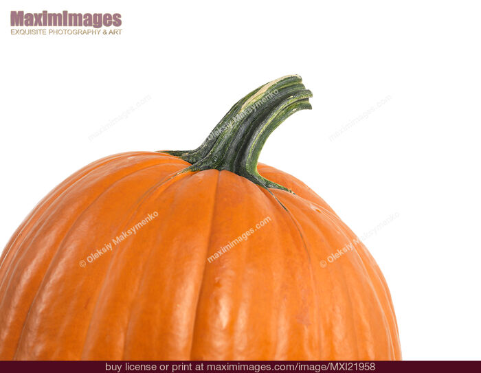 Pumpkin. Stock Photo MXI21958
