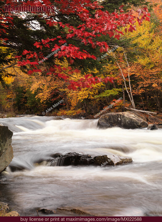 River Rapids Fall Nature Scenery. Stock Photo MXI22588