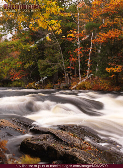 River Rapids Fall Nature Scenery. Stock Photo MXI22590