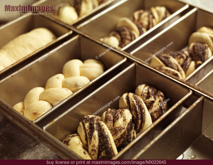 Bread in a Baking Tray Forms. Stock Photo MXI22645