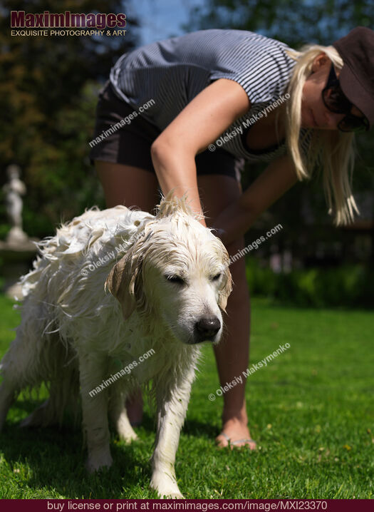 Young Woman Washing Her Dog. Stock Photo MXI23370