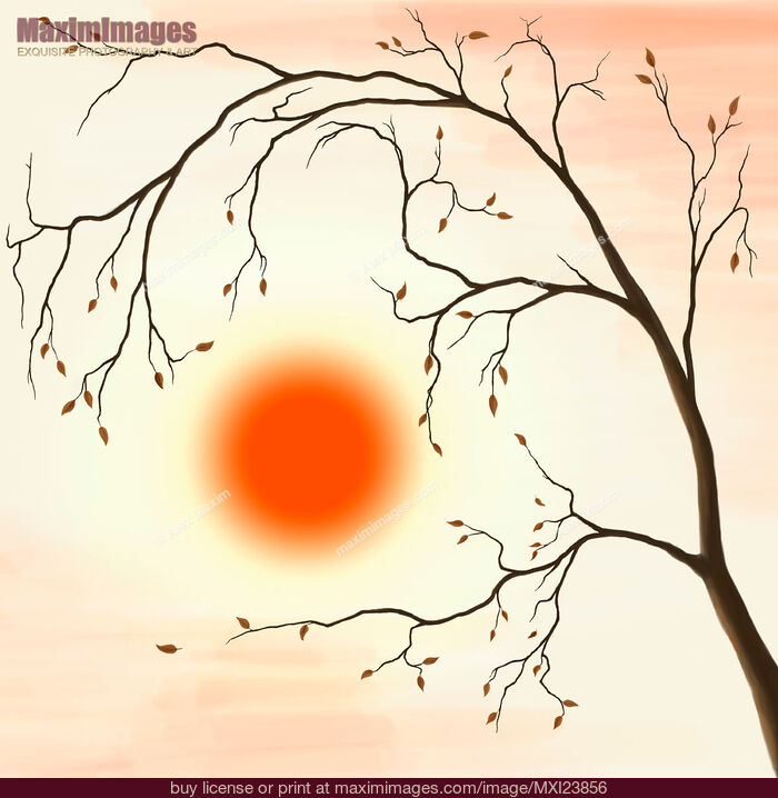 Cherry Tree in Fall. Stock Image MXI23856