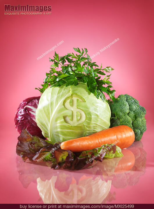 Produce and money food savings concept. Stock Photo MXI25499