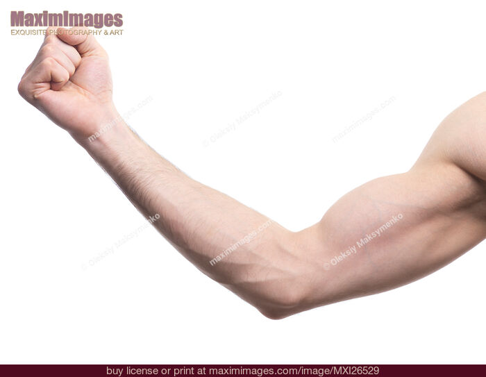 Man arm with hand in a fist. Stock Photo MXI26529