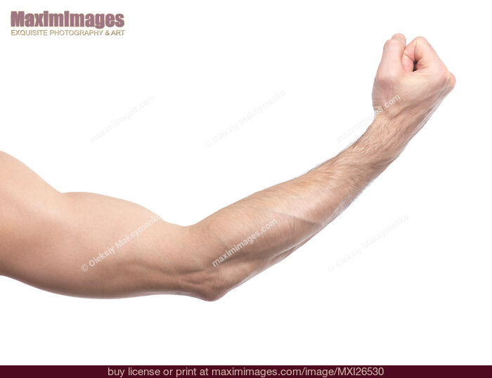 Mans arm with hand in fist. Stock Photo MXI26530