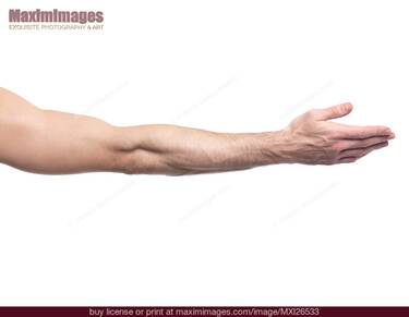 Extended man arm isolated. Stock Photo MXI26533
