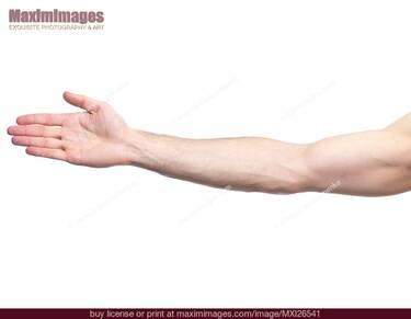 Man arm with open palm. Stock Photo MXI26541
