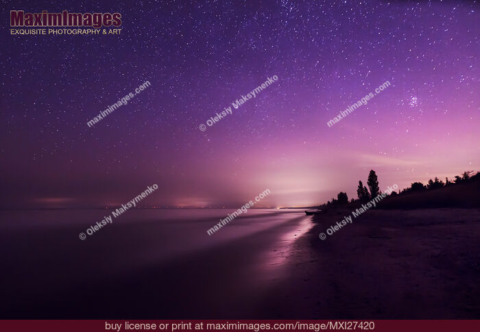 Starry night sky above lake shore. Stock Photo MXI27420