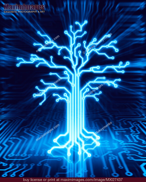 Glowing digital tree circuits conceptual illustration. Stock Image MXI27437