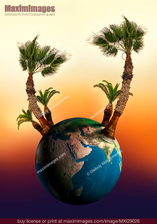 Earth Globe with Palm Trees Growing on It. Stock Image MXI29026