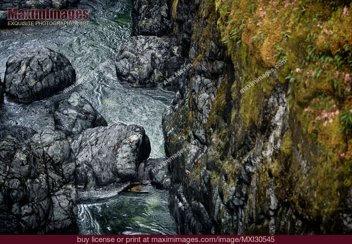 Shiny rocky river bed and mossy banks of the Englishman Vancouver ...