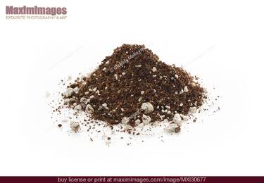 Germination media soilless growing mix of coconut coir vermiculite and ...