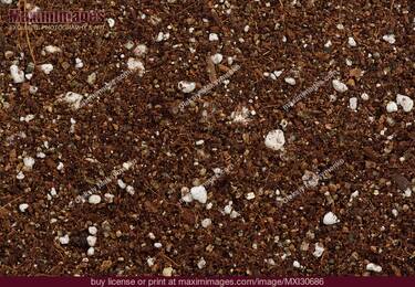 Germination media or soilless growing potting mix of coconut coir ...