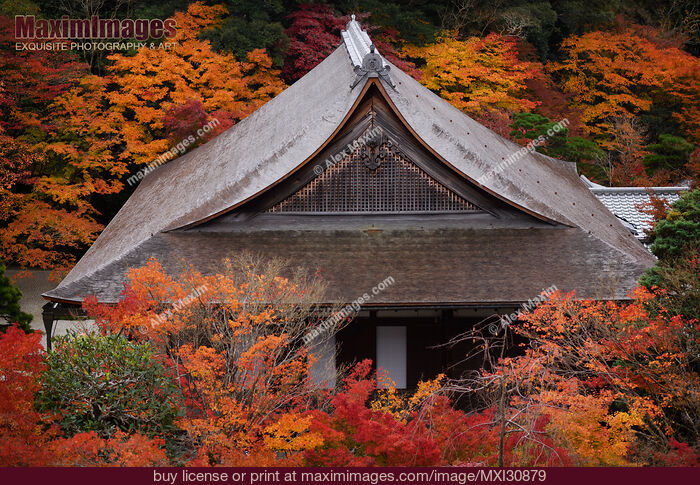 Wooden roof of a traditional Japanese temple hall building at Nanzen-ji ...