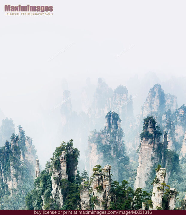 Mountain spires rising from thick milky fog at Zhangjiajie National ...