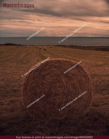 Straw bale in a dramatic countryside sunset scenery of farm field in ...