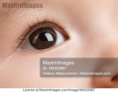 Photo of Closeup of a Baby's Eye | Stock Image MXI22967