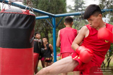 Photo of Chinese Sanda boxer practicing kicks | Stock Image MXI27566