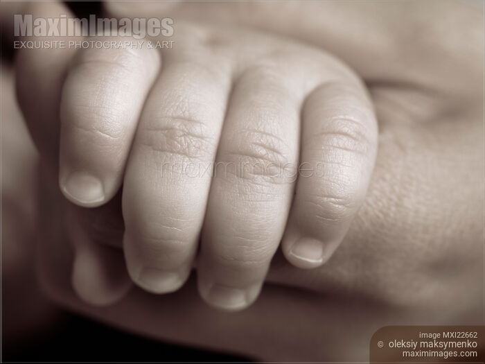 Photo of Closeup of a Baby's Hand | Stock Image MXI22662