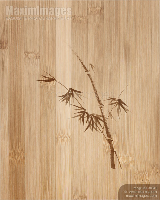 Image of Delicate design Bamboo stalk with young leaves Zen style ...