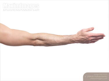 Photo of Extended man arm isolated | Stock Image MXI26533