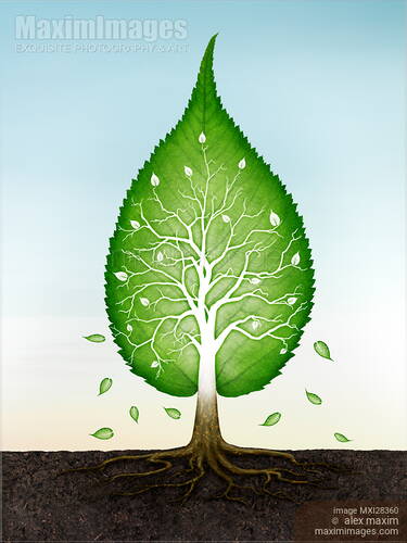 Image of Green leaf shaped tree growing from earth concept | Stock ...
