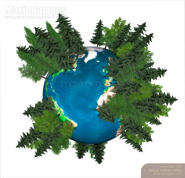 Image of Green Planet Earth Forest Concept | Stock Image MXI18784