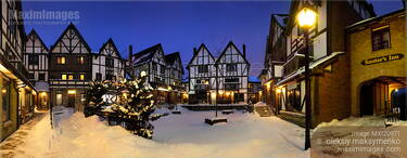 Photo of Pickering Village | Stock Image MXI20971