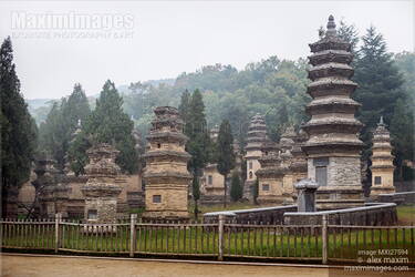 Photo of The Pagoda forest at Shaolin Temple in China | Stock Image ...