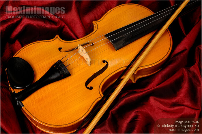 Photo of Violin | Stock Image MXI19246