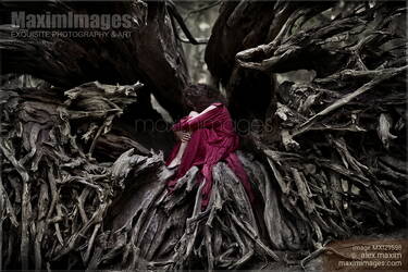 Photo of Woman in red dress curled up in roots of a dead tree | Stock ...
