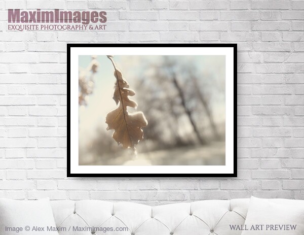 Art Print of Abstract fall nature scenery of frozen leaf in rain | Wall ...