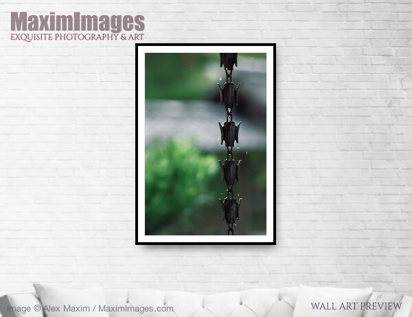 Art Print of Rain chain Kusari-toi kusari-doi with rain water running ...